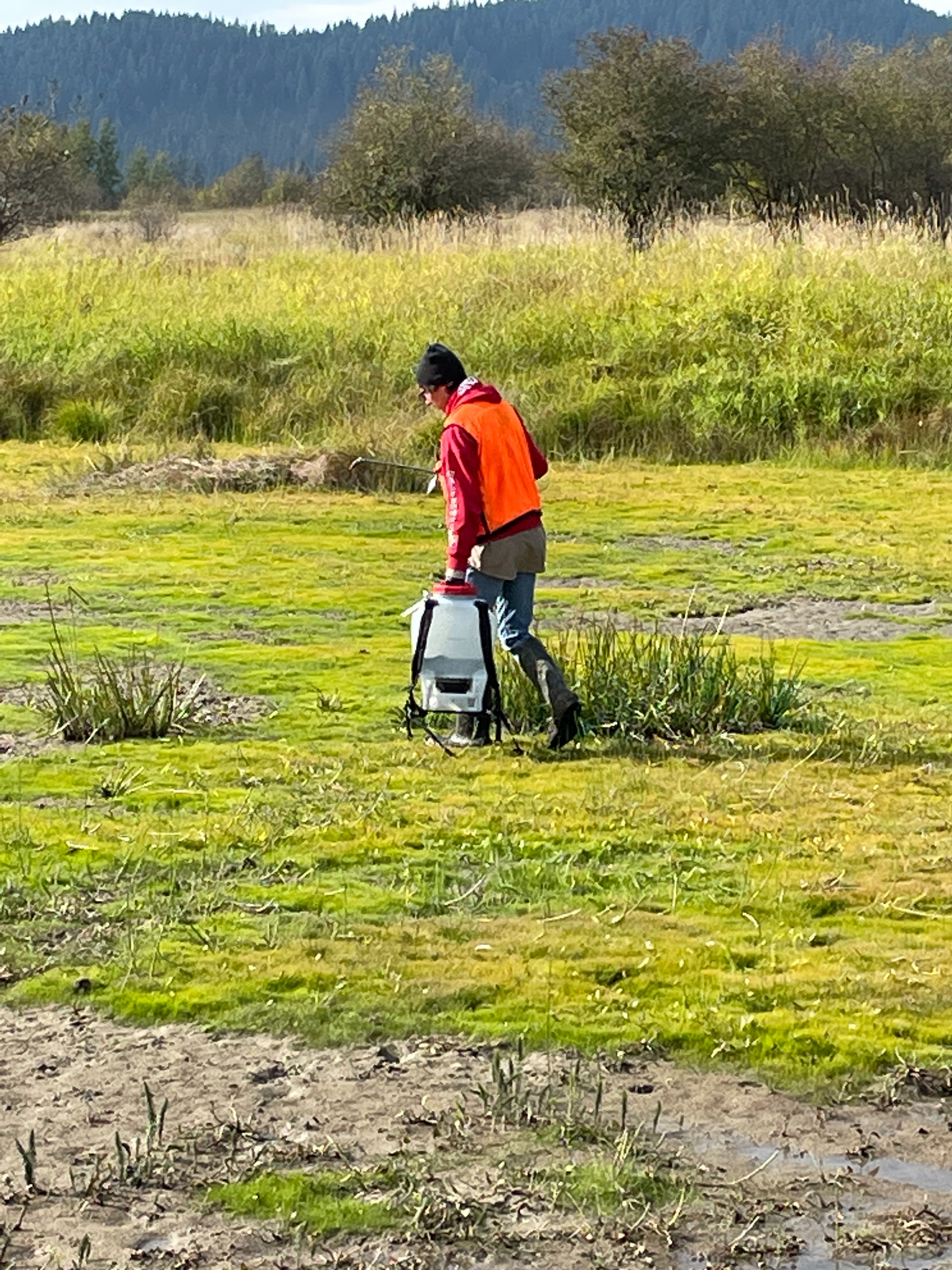 Weed Board | Pend Oreille County WA